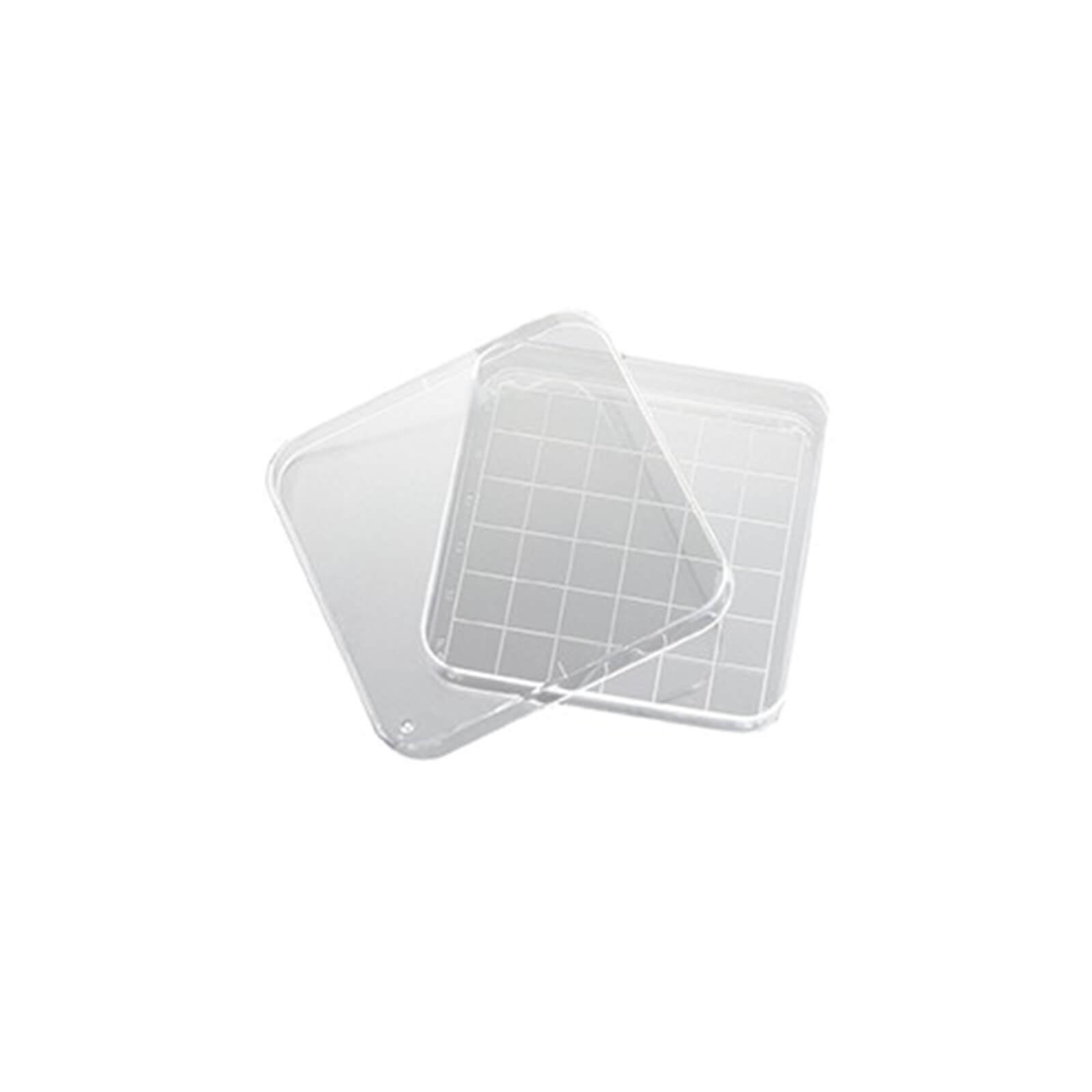 100 x 100 mm Square Petri Dish with grid | Azer Scientific
