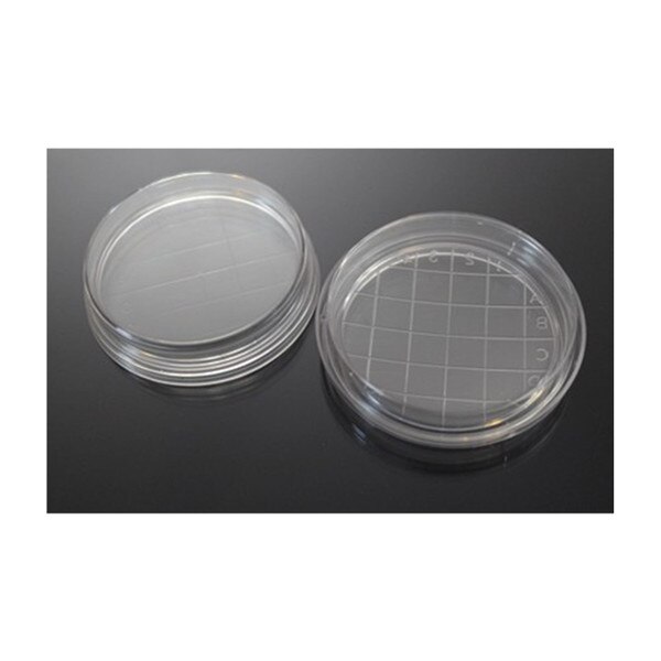 65 x 15mm Convex Contact Plate with outside grid | Azer Scientific