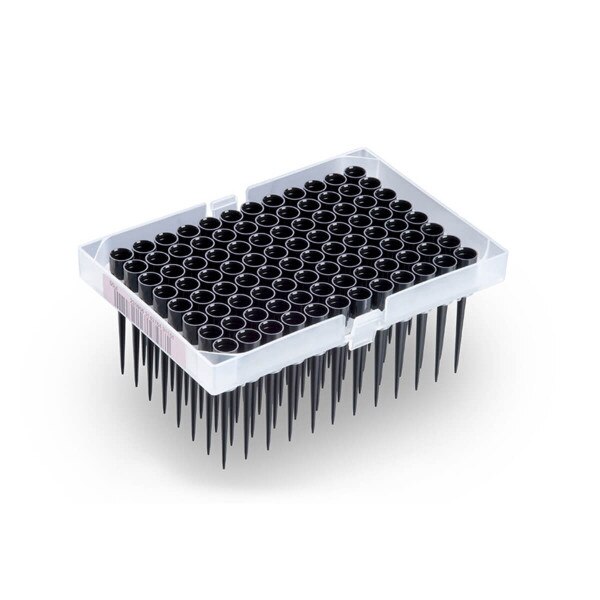 50 uL conductive tips, tray, blister-5 pack | Azer Scientific