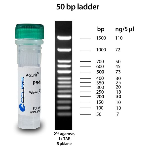 50bp DNA Ladder, 500 uL / 100 lanes | Azer Scientific