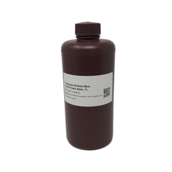Coomassie Brilliant Blue G-250 Protein Stain, 1L | Azer Scientific