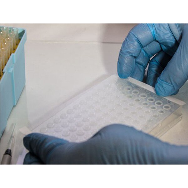 PCR sealing film, transparent, non-sterile | Azer Scientific