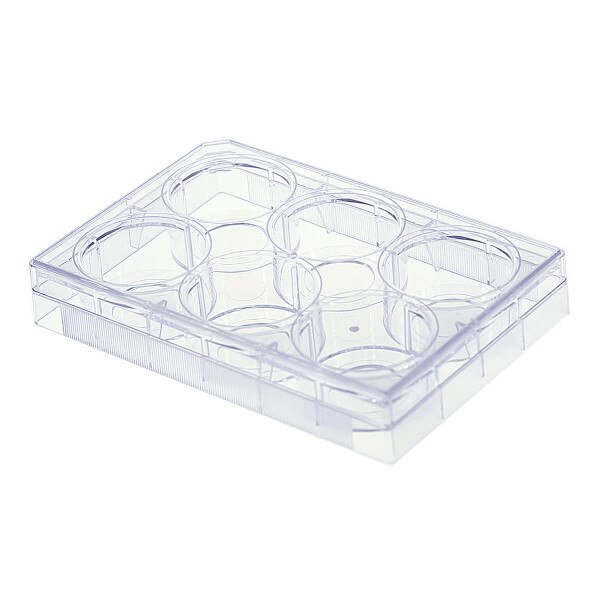 6 Well Cell Culture Plate, 200mm glass bottom, sterile | Azer Scientific