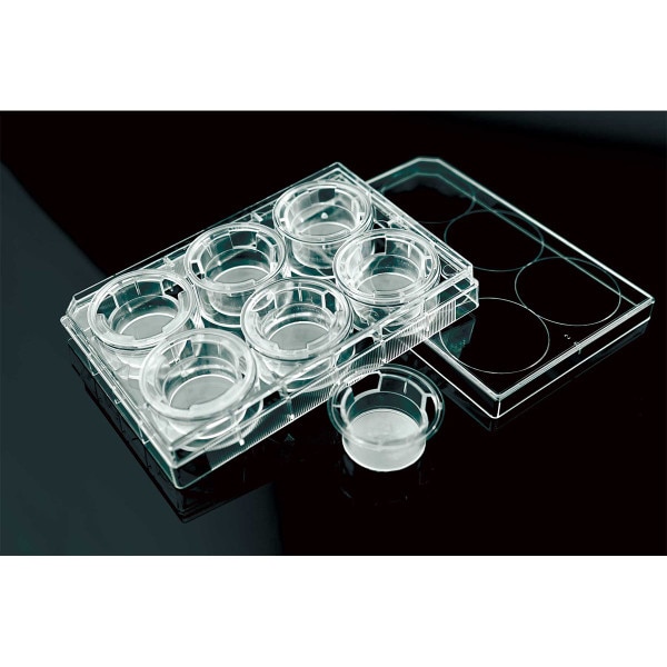 Permeable cell culture inserts, 6 inserts, 3um, PC | Azer Scientific