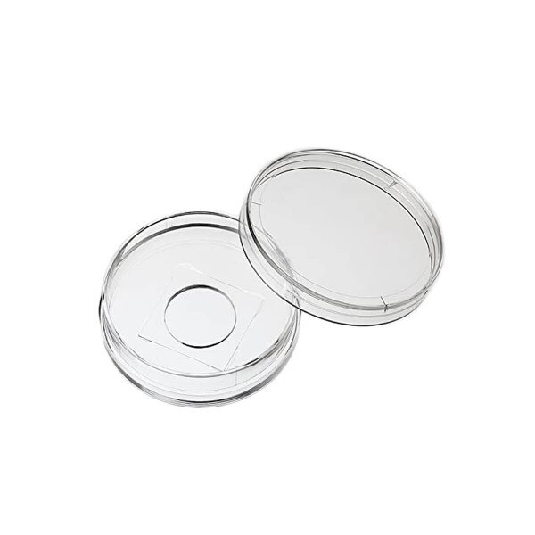 35mm Dish, 15mm glass bottom | Azer Scientific